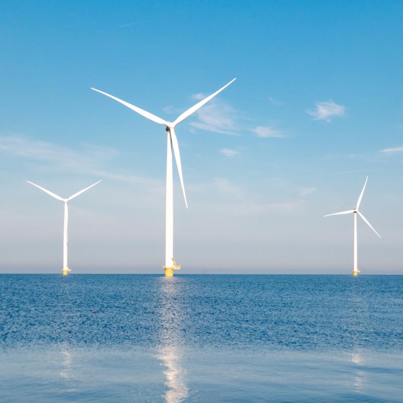 SSE Renewables joins ABP to bid for IJmuiden Ver OWF SSE Renewables joins ABP to bid for IJmuiden Ver OWF