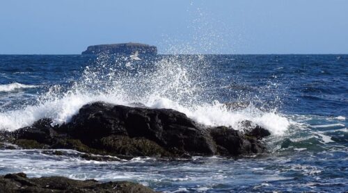 TWP settles upon final names for ScotWind offshore wind farms