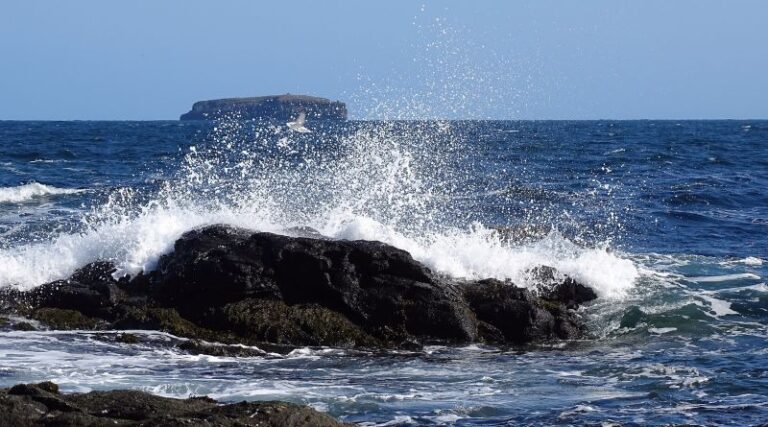 TWP settles upon final names for ScotWind offshore wind farms