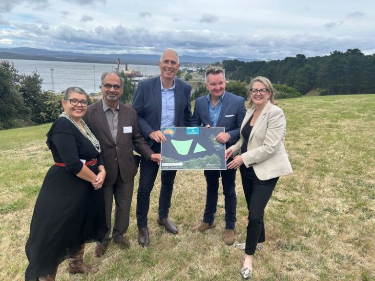 Tasmanian Bass Strait offshore wind zone
